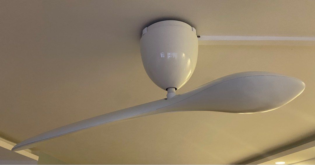 Sycamore ceiling fan, Furniture & Home Living, Lighting & Fans, Fans on ...