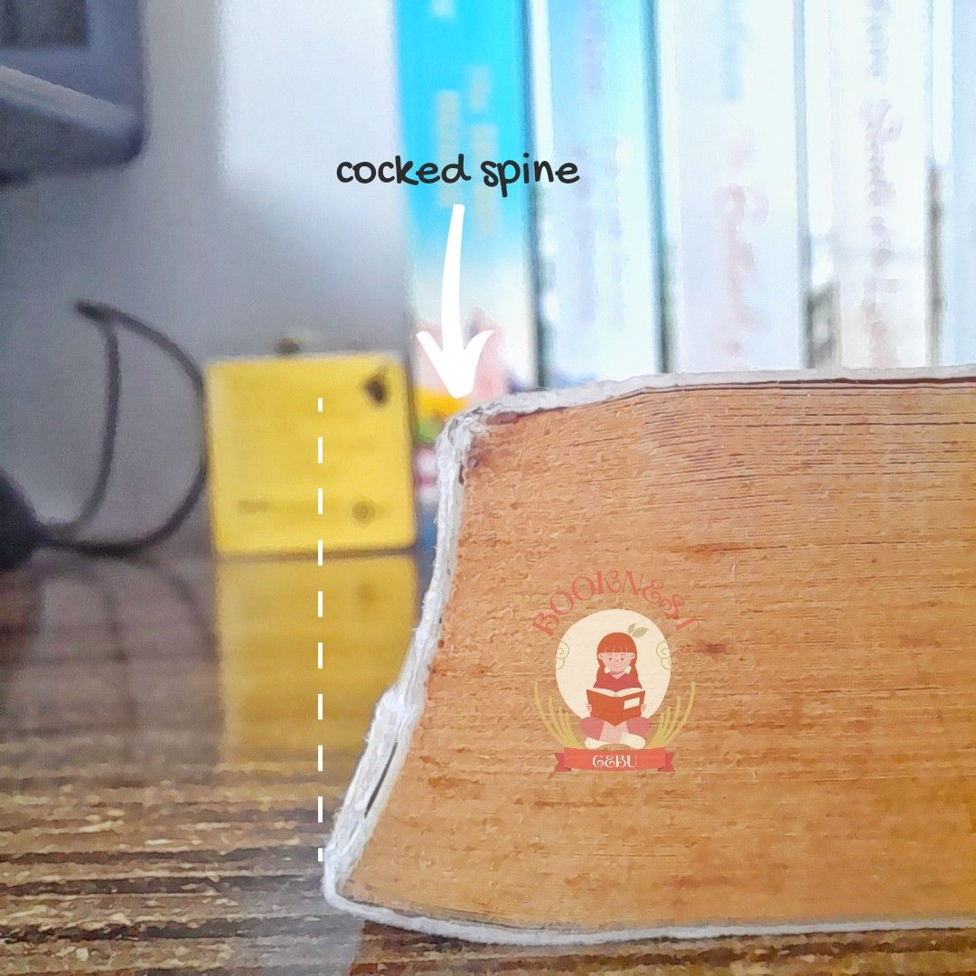 The Tiger's Wife by Tea Obreht on Carousell