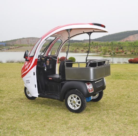 Thunder Emperor convertible N100S electric three-wheeled scooter home ...