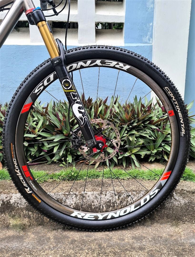 Titanium 29er Mountain Bike on Carousell