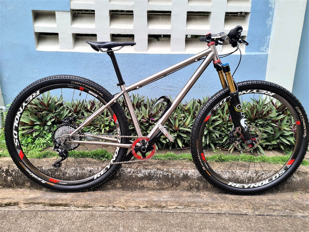 Titanium 29er Mountain Bike on Carousell