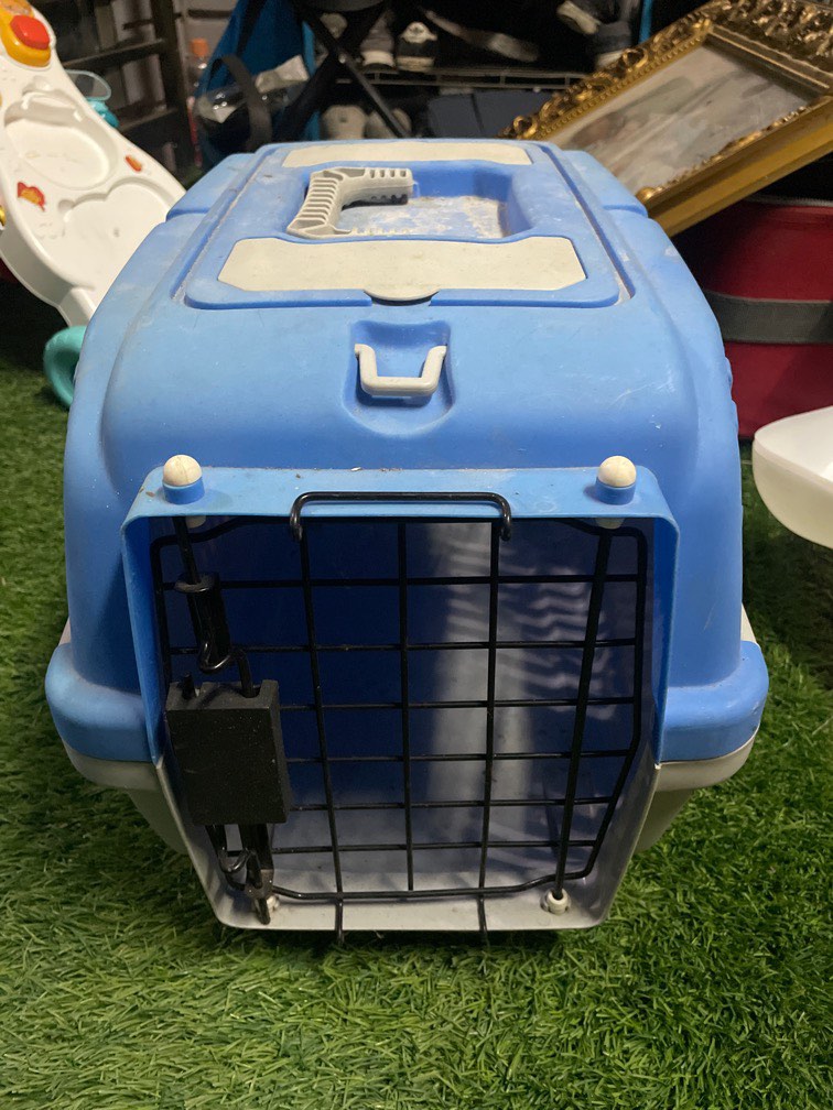 Bekas Kucing, Pet Supplies, Homes & Other Pet Accessories on Carousell