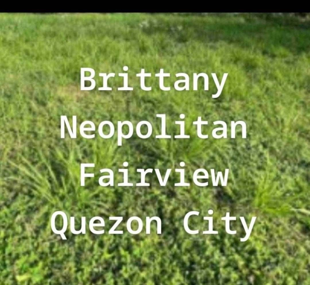 BRITTANY NEOPOLITAN FAIRVIEW QUEZON CITY on Carousell