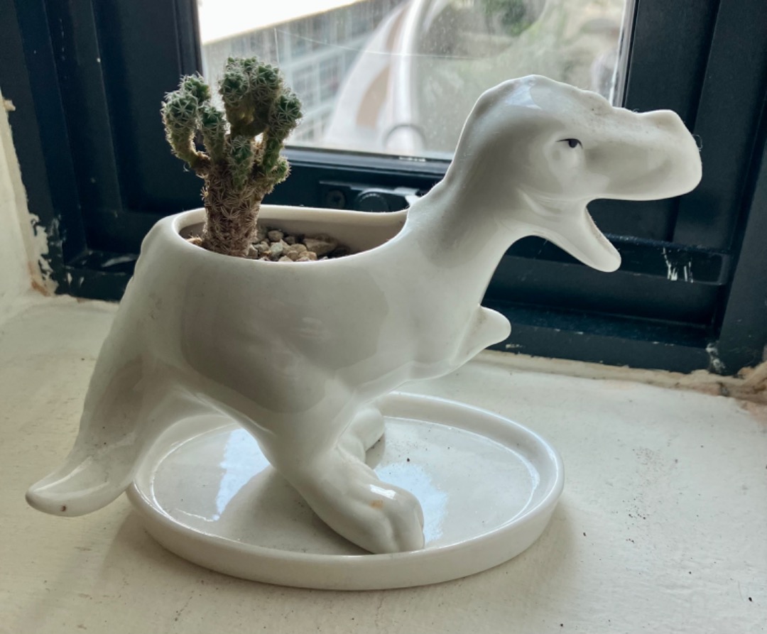 Dinosaur plant holder, Furniture & Home Living, Gardening, Pots ...