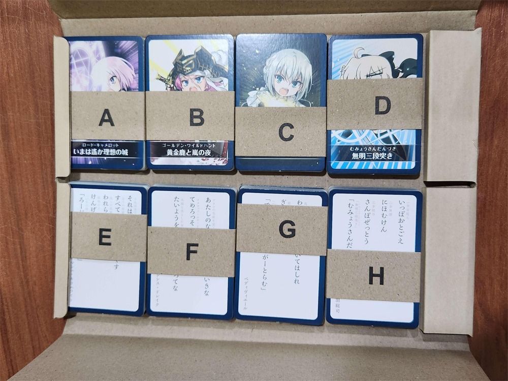 Fate/Grand Order Chaldea Ace, Vol. 2 with Noble Phantasm Karuta Set ...