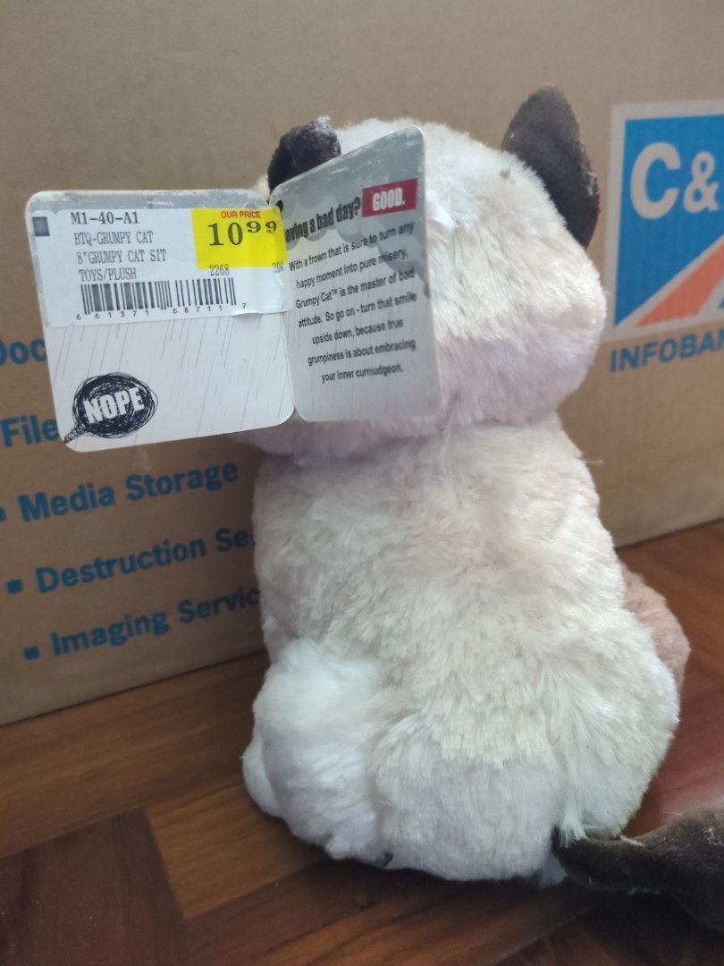 Grumpy Cat soft toy, Hobbies & Toys, Toys & Games on Carousell