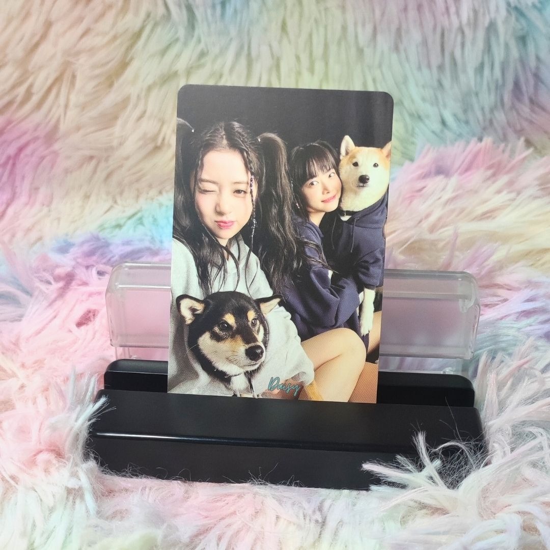 LE SSERAFIM 1st Studio Album 'UNFORGIVEN' (WEVERSE ALBUMS Ver.) - Photocard C - Yunjin & Eunchae ...