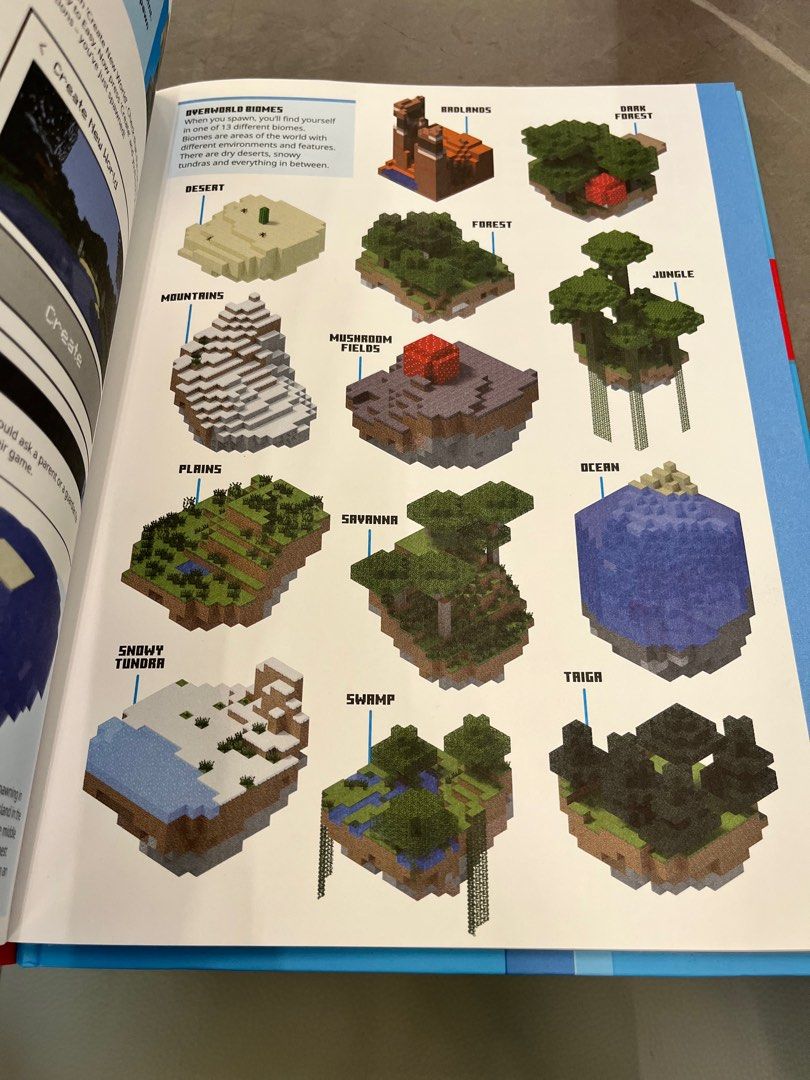 Minecraft for Beginners Book, Hobbies & Toys, Books & Magazines ...