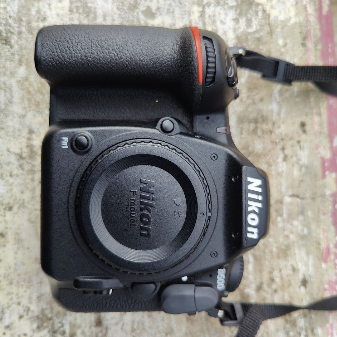 Nikon D500 with Tamron 150-600mm G2, Photography, Cameras on Carousell