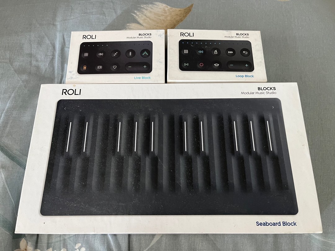 Roli Seaboard + Live Block + Loop Block, Hobbies & Toys, Music & Media ...