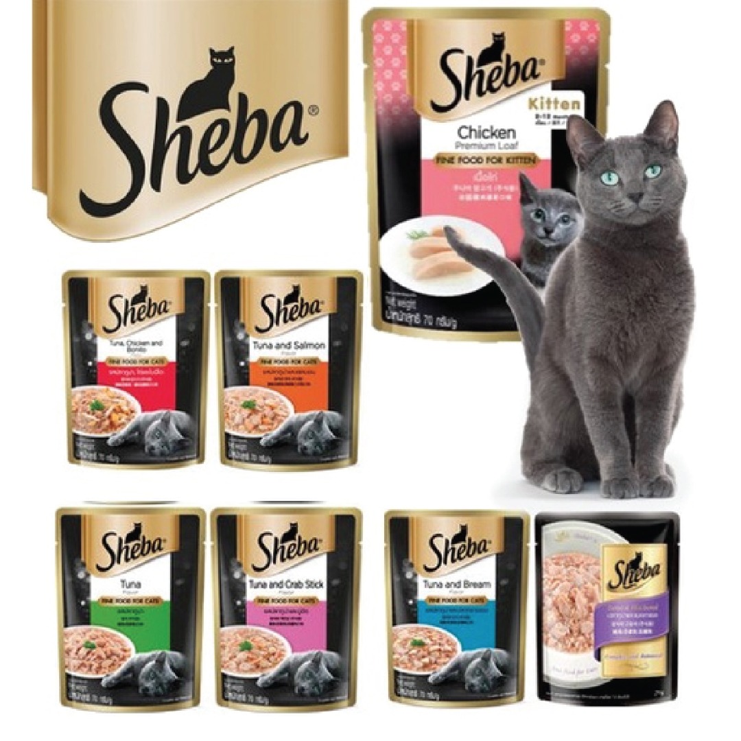 Sheba Pouch Wet Cat Kitten Food [Bundle 12/24], Pet Supplies, Pet Food ...