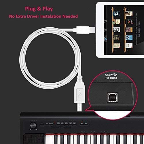 [Stockist.SG] Midi Cable, USB 2.0 Type B to Midi Keyboard Organ Drum ...