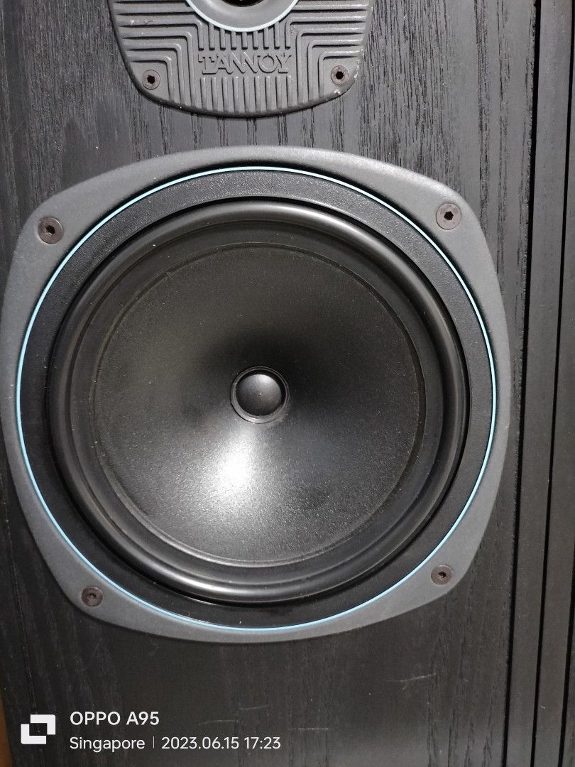 Tannoy M20 8" speakers unit., Audio, Soundbars, Speakers & Amplifiers on Carousell