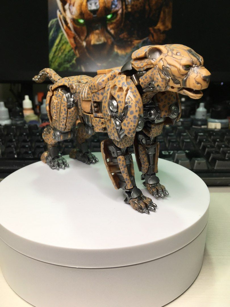 Transformers Studio Series Rise of the Beasts Cheetor [Custom], Hobbies ...