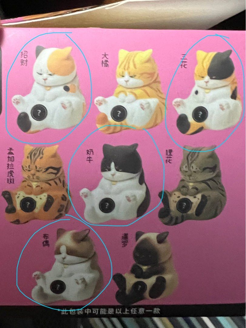 Blind Box Cat Ding Dang Mao (WTT/WTS), Hobbies & Toys, Toys & Games on ...