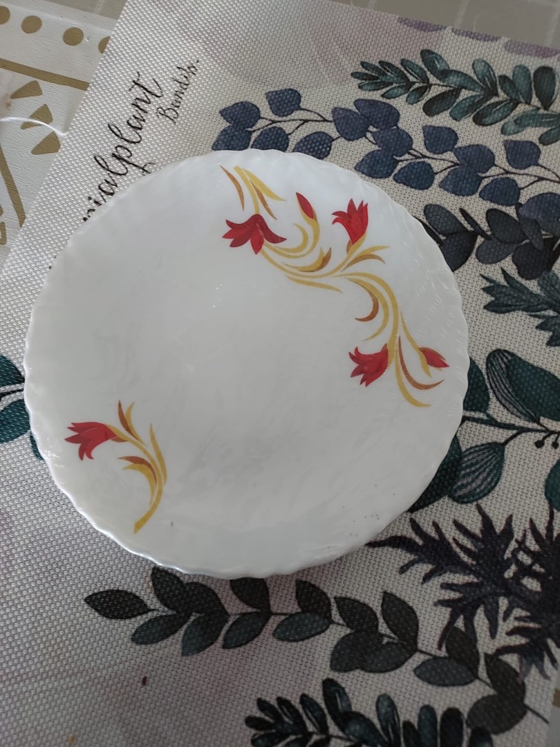 Borosil Snack Plates, Furniture & Home Living, Kitchenware & Tableware ...