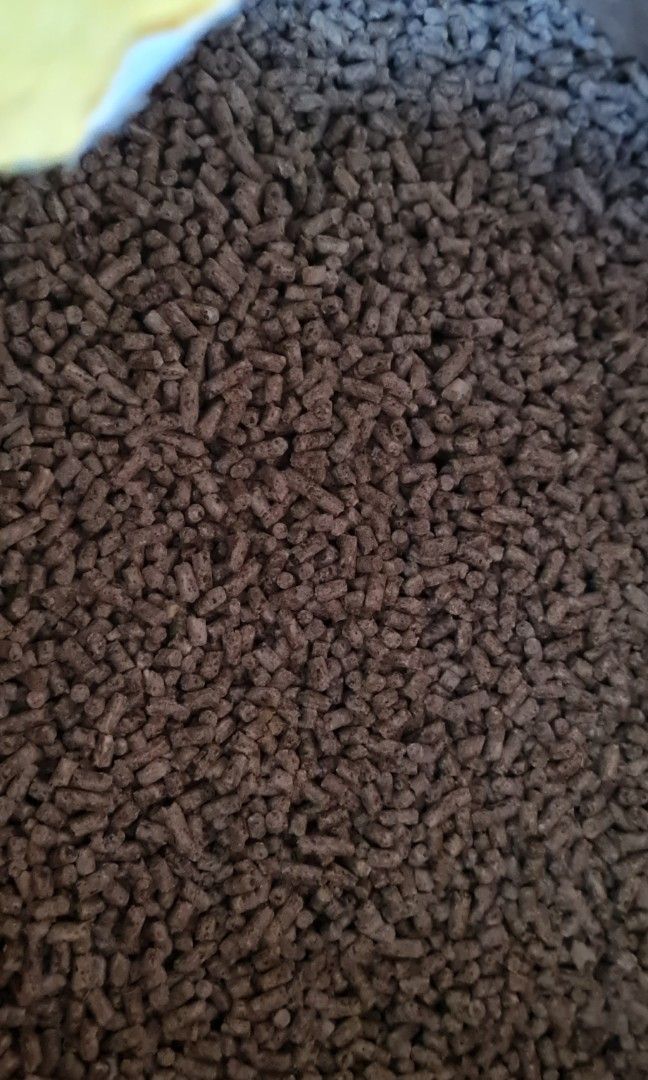 Chicken/ Quail food pellet, Pet Supplies, Pet Food on Carousell