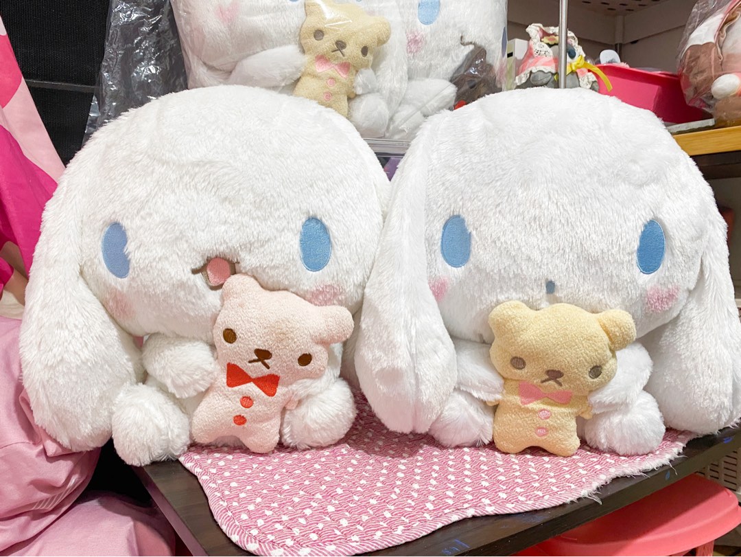 Cinna bear / cinnamoroll holding bear on Carousell