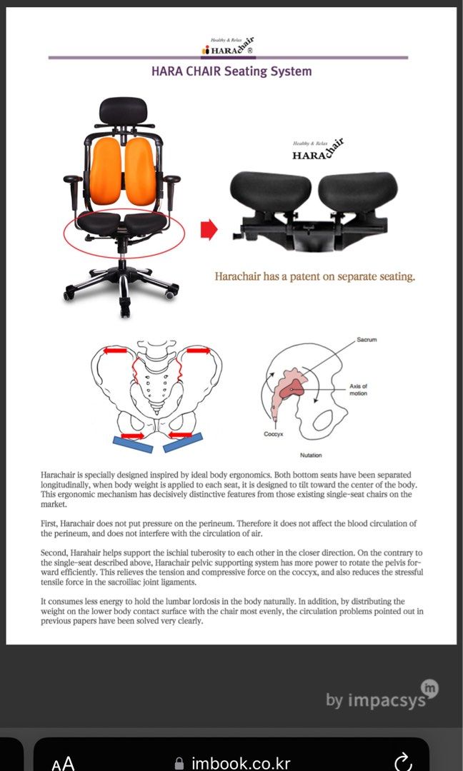 Ergonomic Chair - Hara Chair Korea, Furniture & Home Living, Furniture, Chairs on Carousell