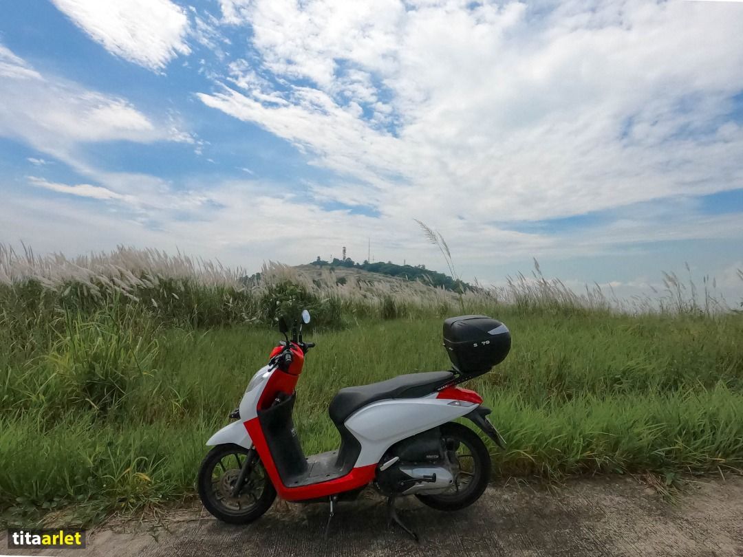 Honda Genio on Carousell