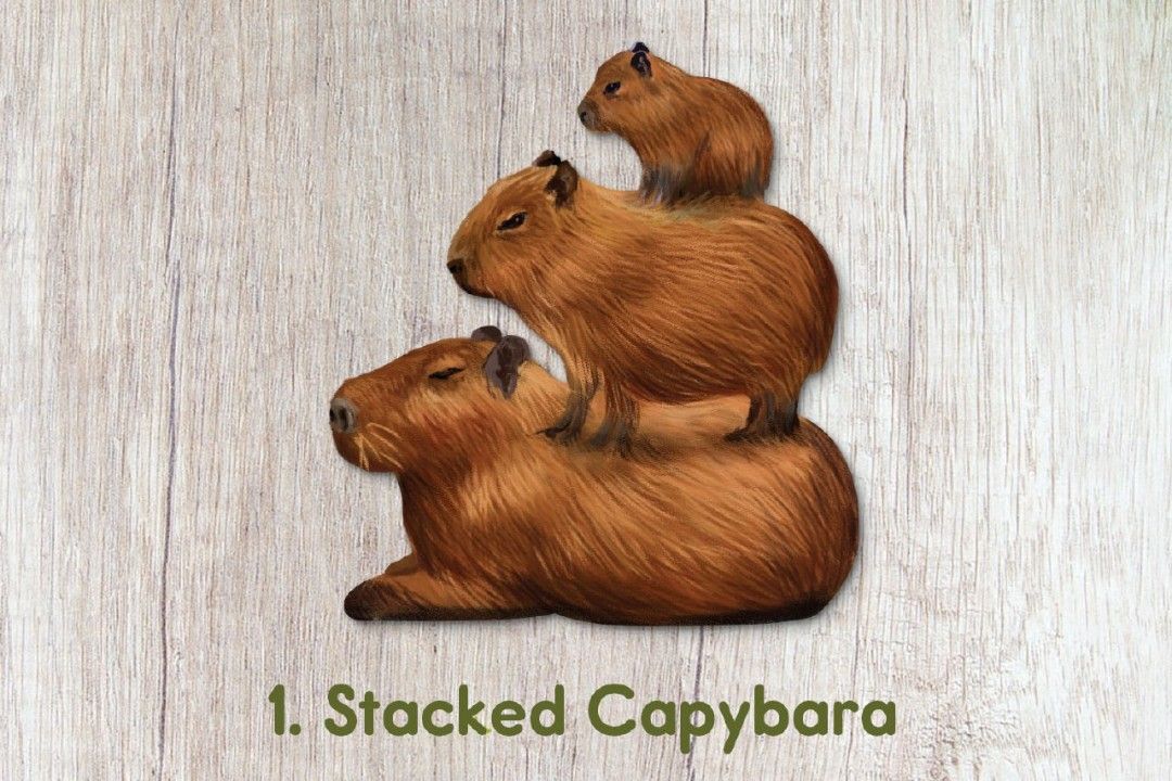 Illustrated Capybara stickers, Hobbies & Toys, Stationery & Craft, Art ...
