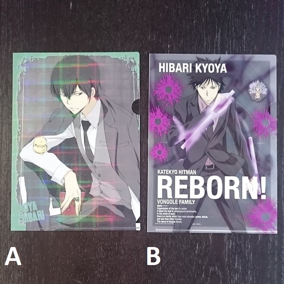 Kateikyoshi Hitman Reborn KHR 3D Sparkling Mini Files - Hibari, Hobbies ...