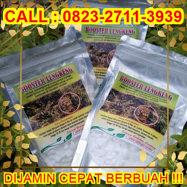 LANGSUNG BUAH ! H.Tovix CALL 0823-2711-3939 Tempat Jual Pupuk Cair ...