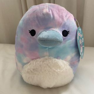 Bertwin the Bearded Dragon 8" Squishmallow, Hobbies & Toys, Toys ...