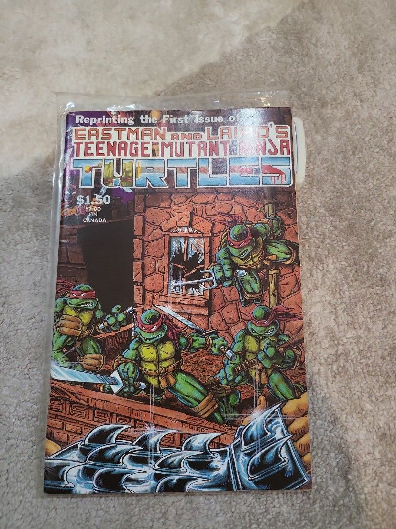 Repeint of the first issue of Teenage Mutant ninja Turtle, Hobbies ...