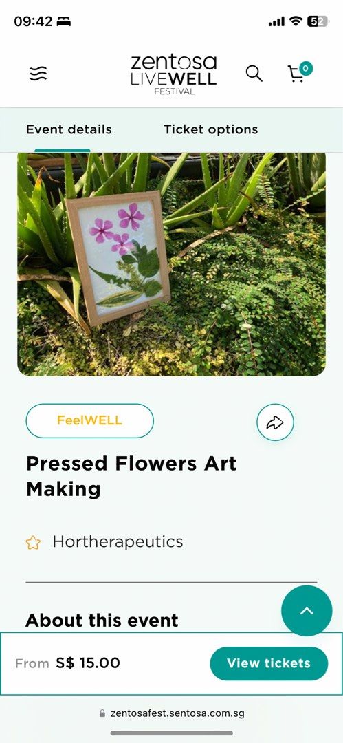 Sentosa Zentosa Festival June School Holidays Pressed Flowers Art ...