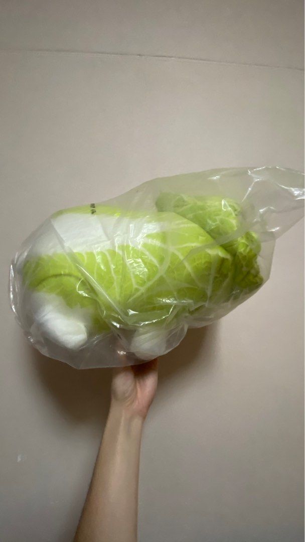 Shiba Inu Vegetable Plush/Soft Toy, Hobbies & Toys, Toys & Games on ...