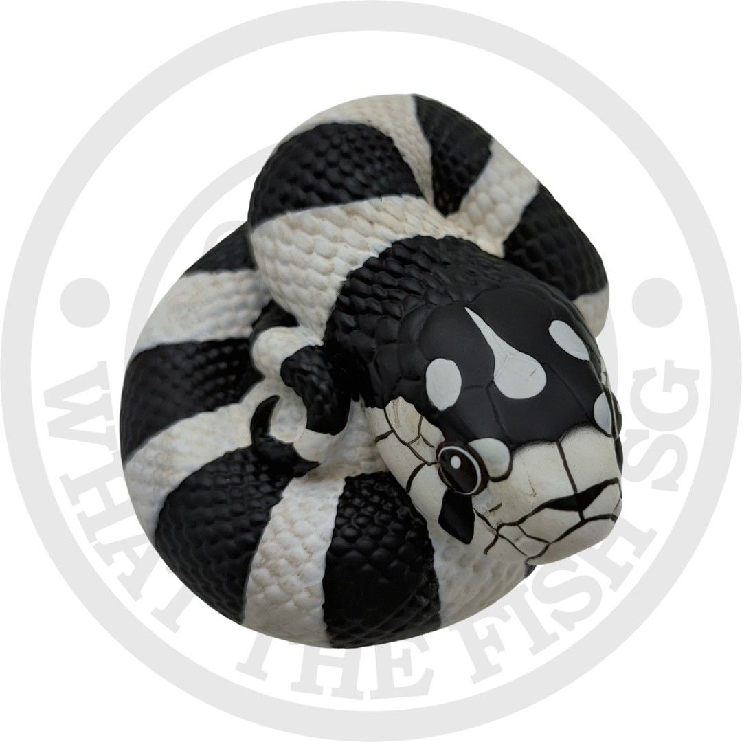 Snake figurines. Python figurines. COLLECTABLES, Hobbies & Toys, Toys ...