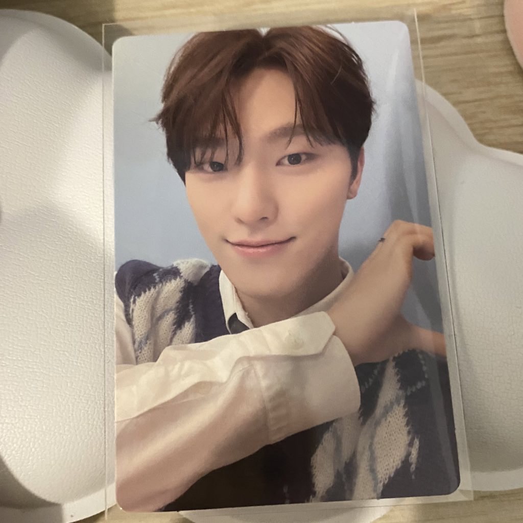 SVT Dino PC Faded Mono Life Ver, Hobbies & Toys, Memorabilia ...