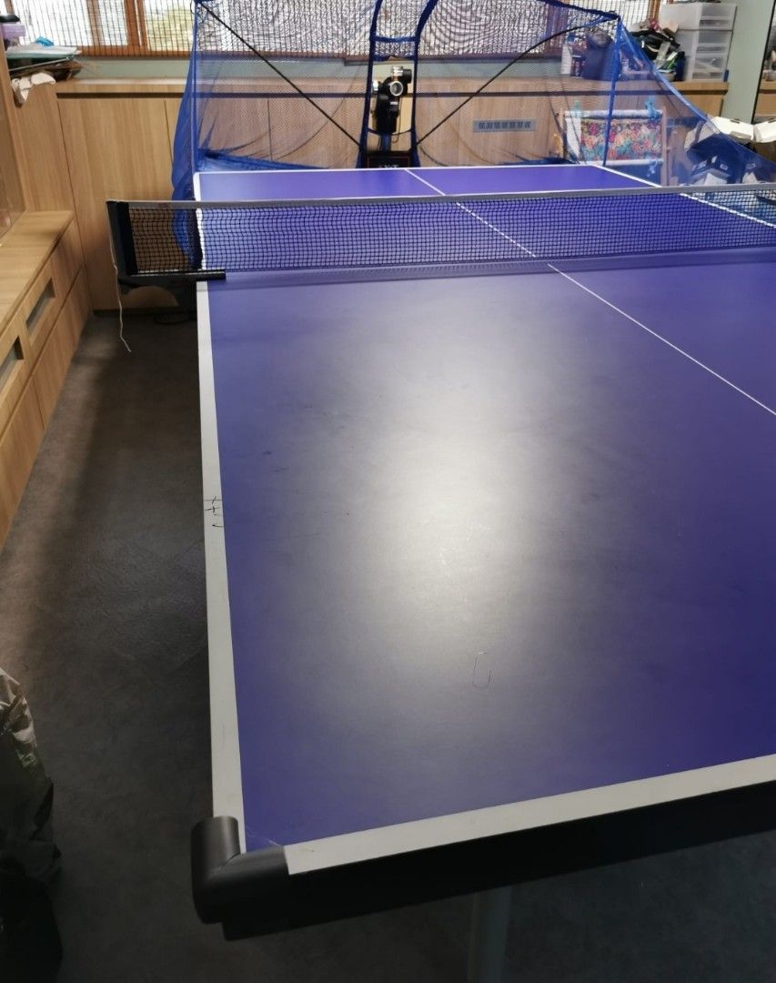 Table Tennis Table & Robot w Net, Sports Equipment, Sports & Games ...