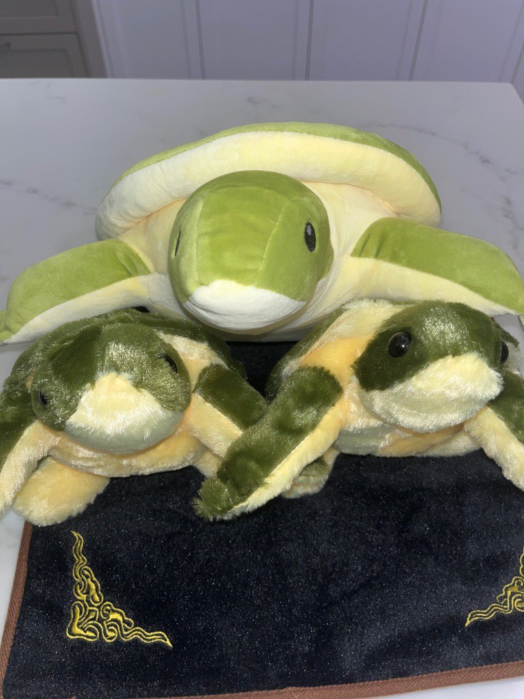 Turtle toys, Hobbies & Toys, Toys & Games on Carousell