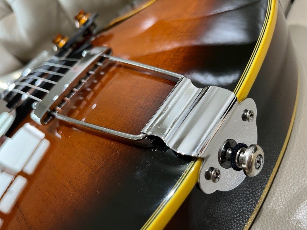 Washburn HB-15/TS hollow Archtop guitar jazz box mini humbucker, Hobbies & Toys, Music & Media ...