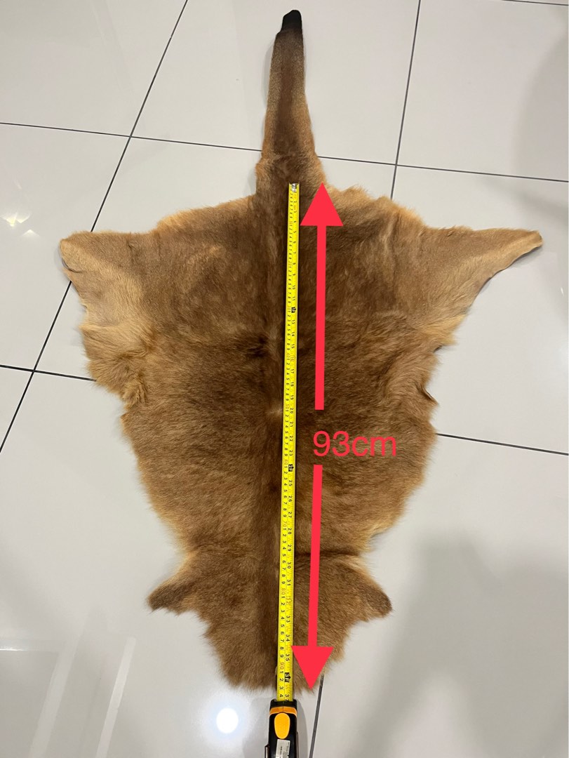 Authentic Australian Kangaroo Pelt, Furniture & Home Living, Home Decor ...