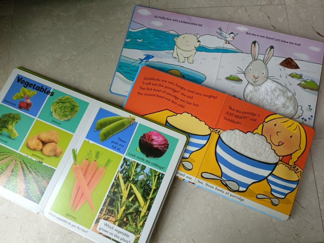 Goldilocks and the Three Bears Farm Arctic Lift A Flap Touch and Feel ...