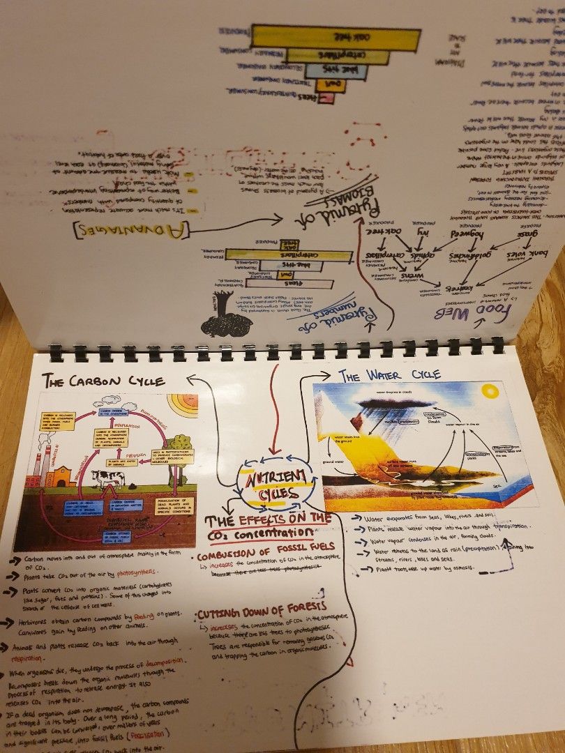 Cambridge IGCSE Biology Notes(0610), Hobbies & Toys, Books & Magazines ...