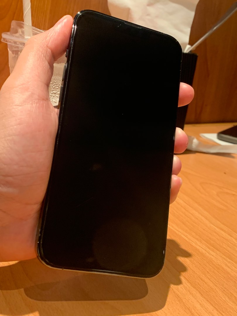 Iphone 13 Pro Max 256gb on Carousell