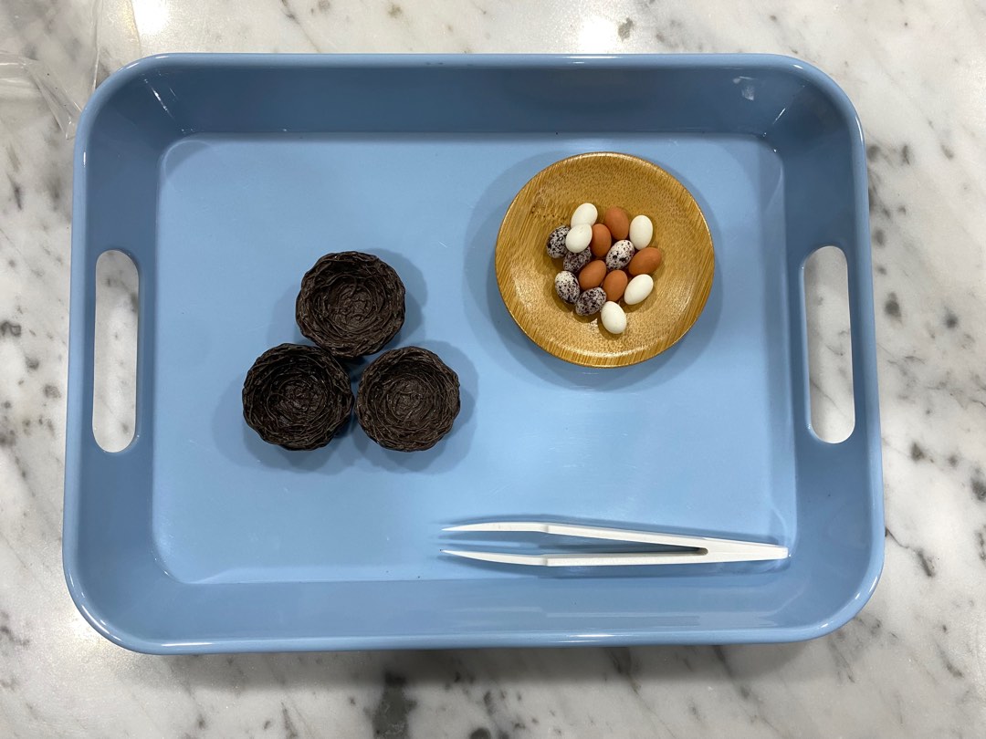 Montessori Practical Life Tweezing Activity Sorting, Hobbies & Toys ...