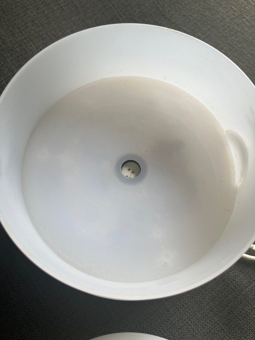 Muji Air and Scent Diffuser (2 pin plug), Furniture & Home Living, Home ...