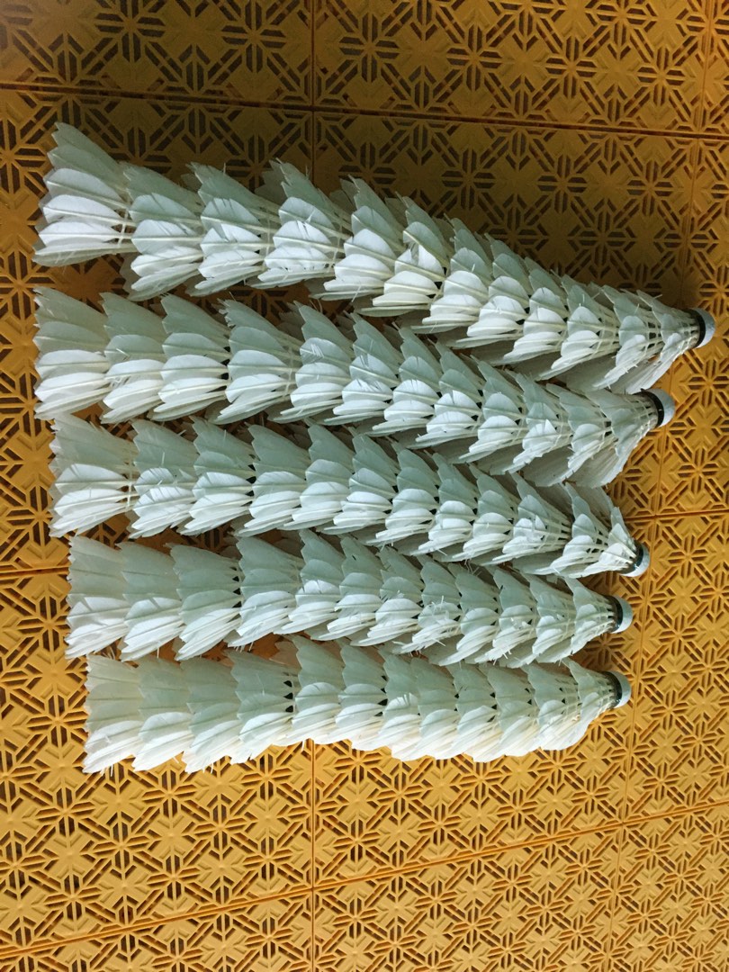 old shuttlecock, Sports Equipment, Other Sports Equipment and Supplies ...