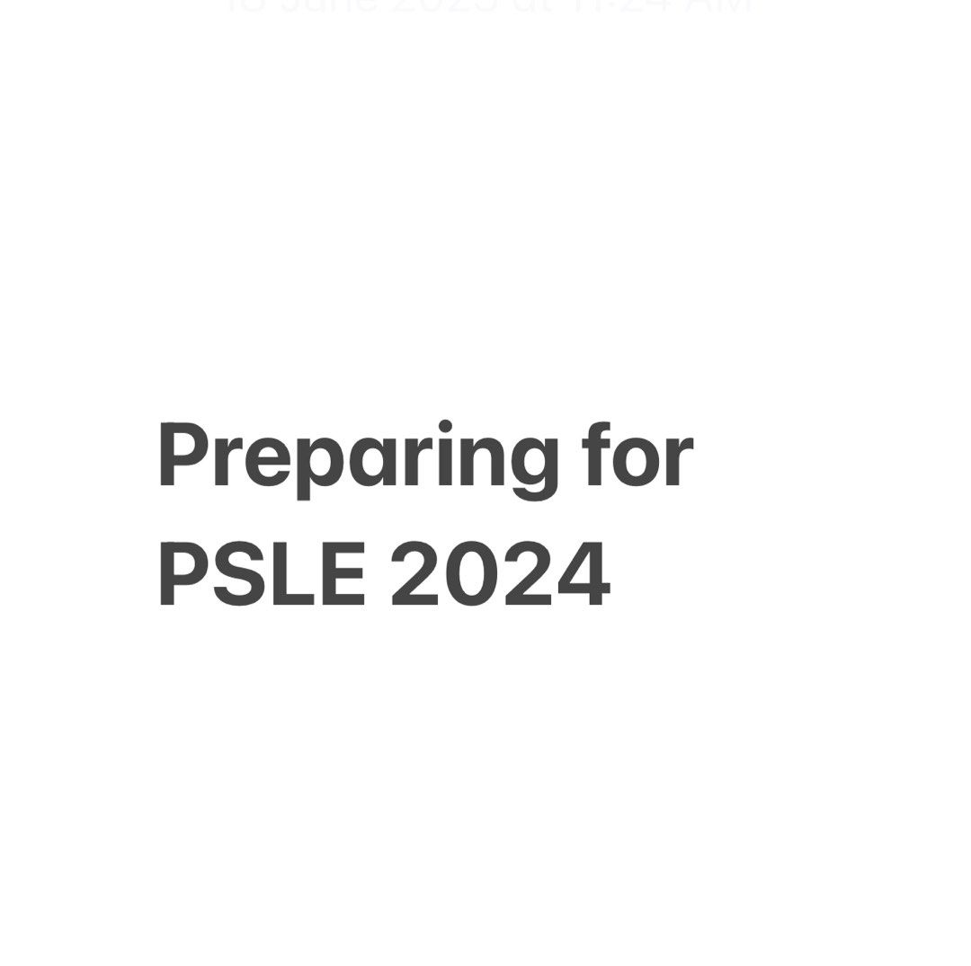 Preparing for PSLE 2024 (English notes, Chinese notes, maths notes ...