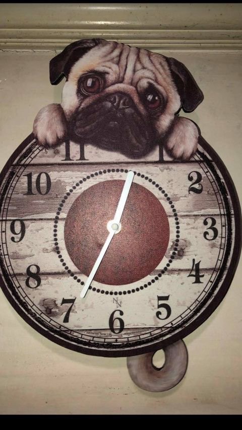Pug clock w/ moving pendelum tail, Furniture & Home Living, Home Decor ...
