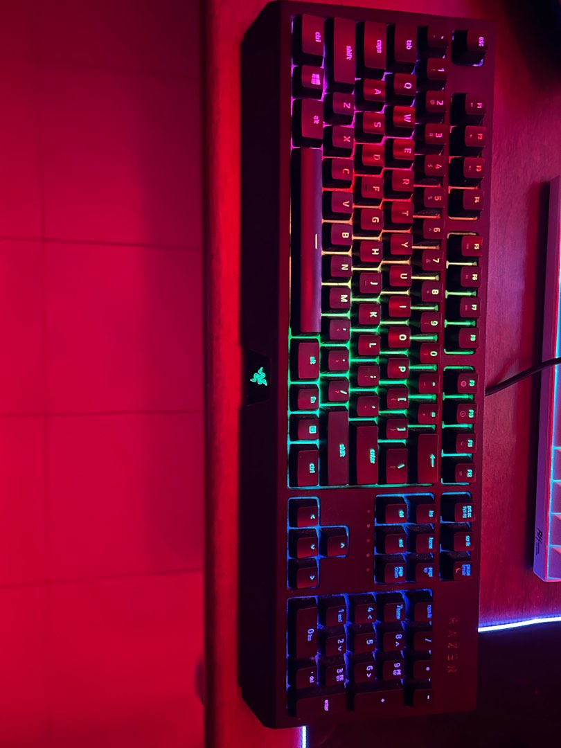 Razer Blackwidow Keyboard Computers And Tech Parts And Accessories Computer Keyboard On Carousell