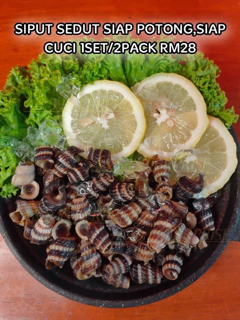 SIPUT SEDUT FRESH 1KG JOHOR BAHRU, Food & Drinks, Fresh Produce on ...