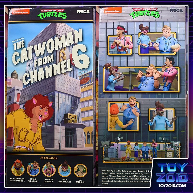 Teenage Mutant Ninja Turtles The Catwoman from Channel 6 News TMNT ...