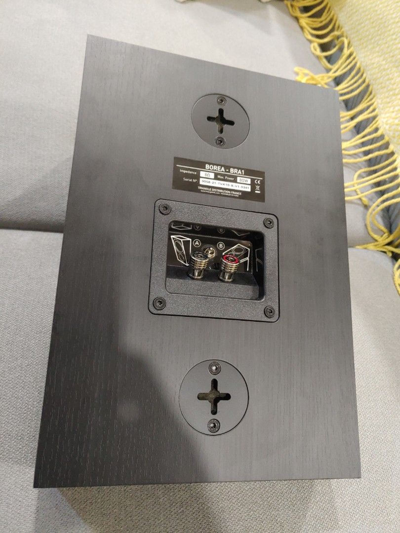 Home Theater Dolby Atmos DTS:X / Surround Rear Speaker (Black), Audio ...