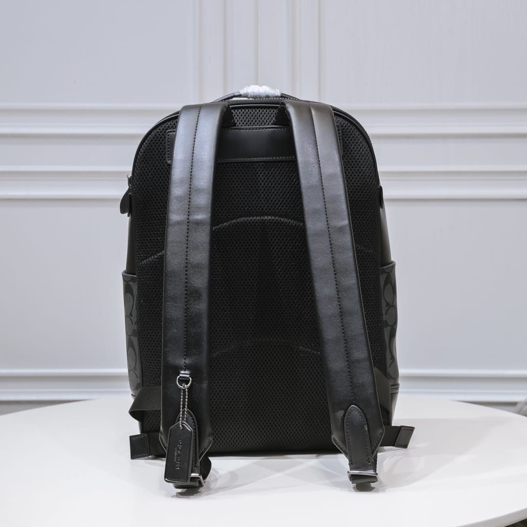 Coach Graham Backpack In Signature Canvas / With Varsity Stripe (Men ...